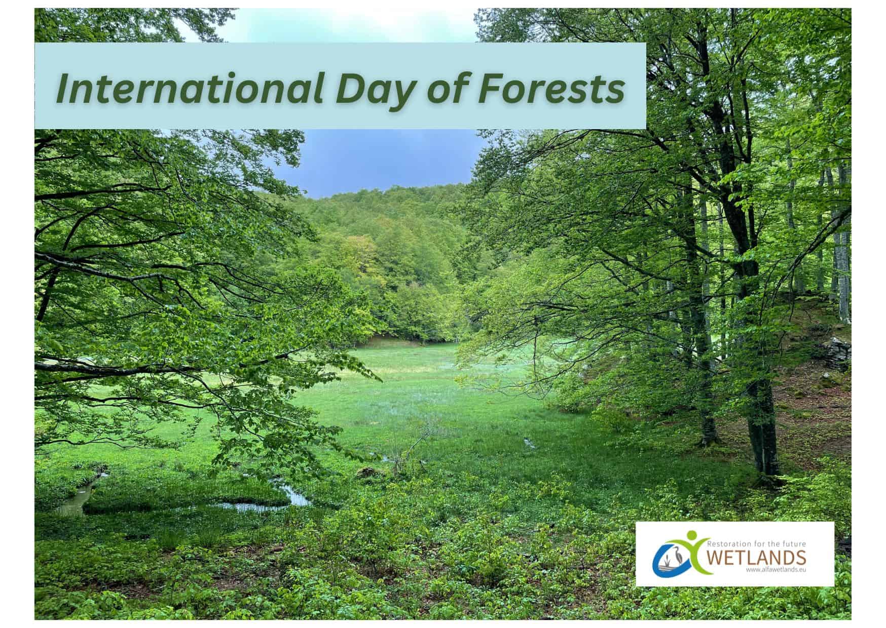 International Day of Forests - ALFAwetlands